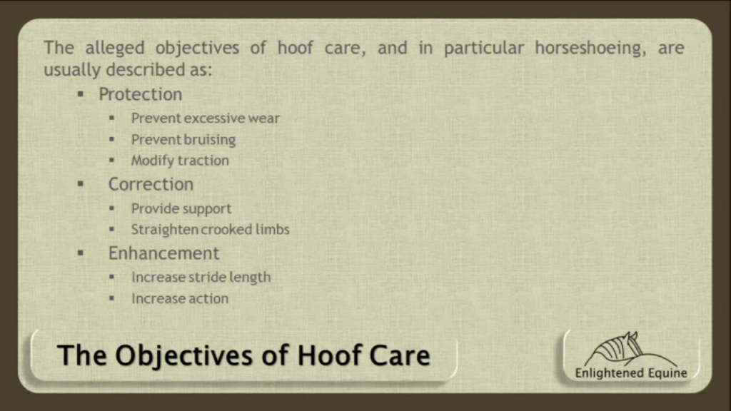 An Introduction to Hoof Care — Enlightened Equine
